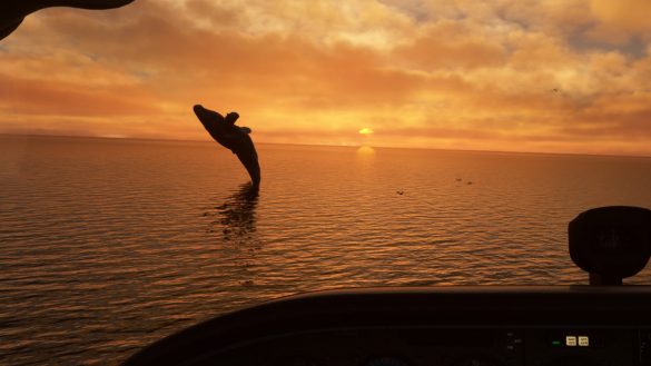 FSRealistic previews new immersive first-person view to walk around in ...