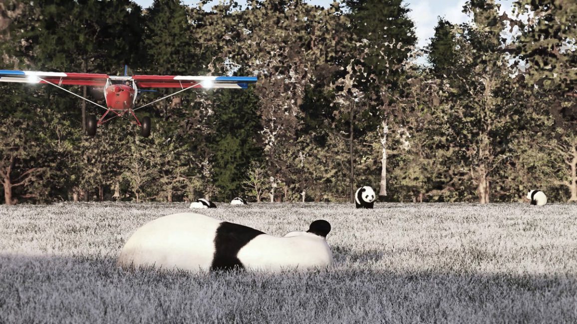 SoFly announces Animals for Microsoft Flight Simulator - MSFS Addons